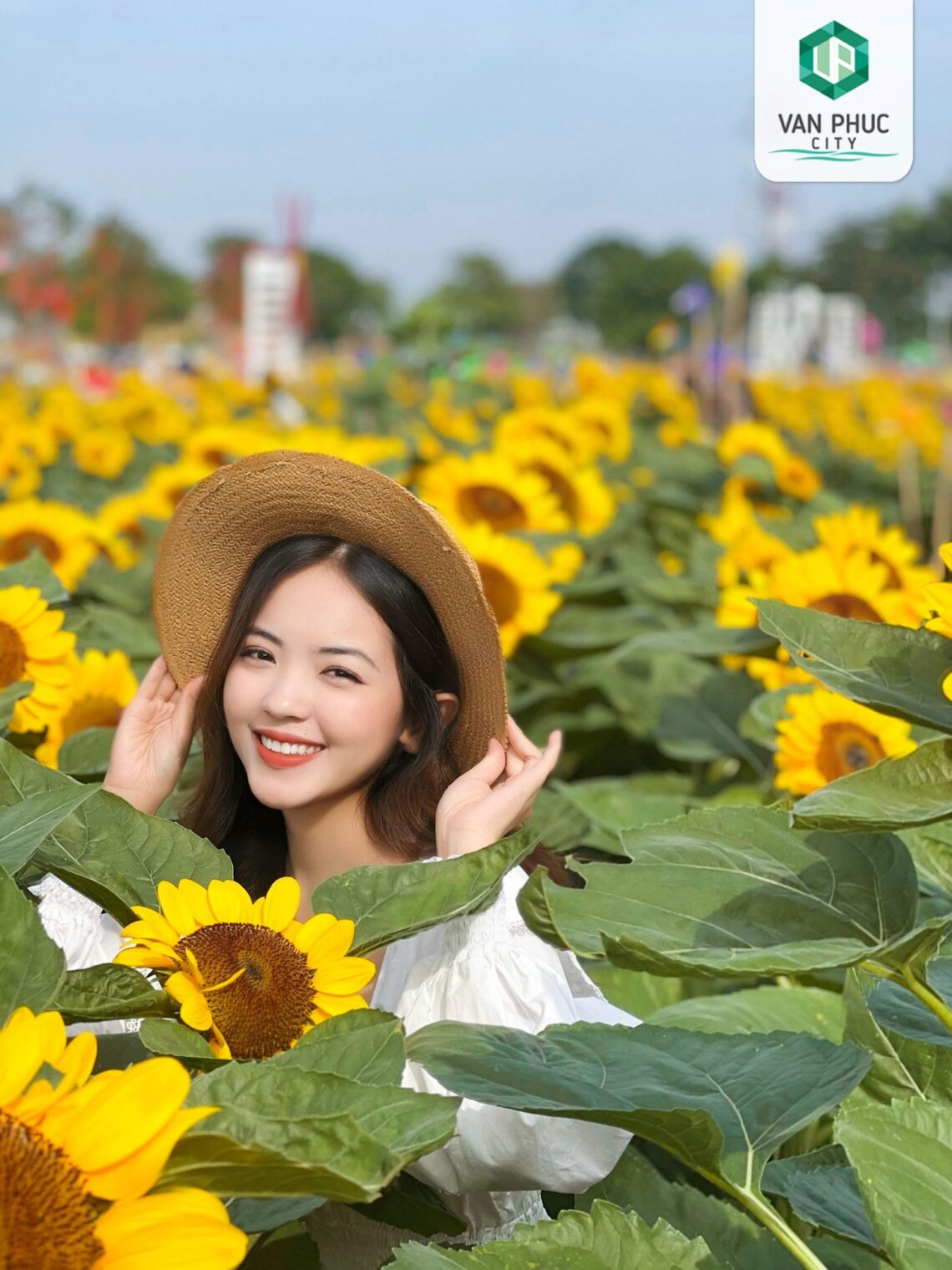 Vườn hoa Hướng Dương Vạn Phúc City - Khu đô thị Vạn Phúc City