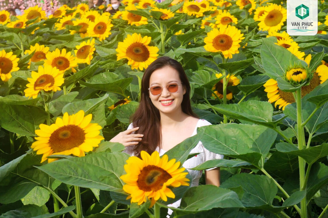 Vườn hoa Hướng Dương Vạn Phúc City - Khu đô thị Vạn Phúc City