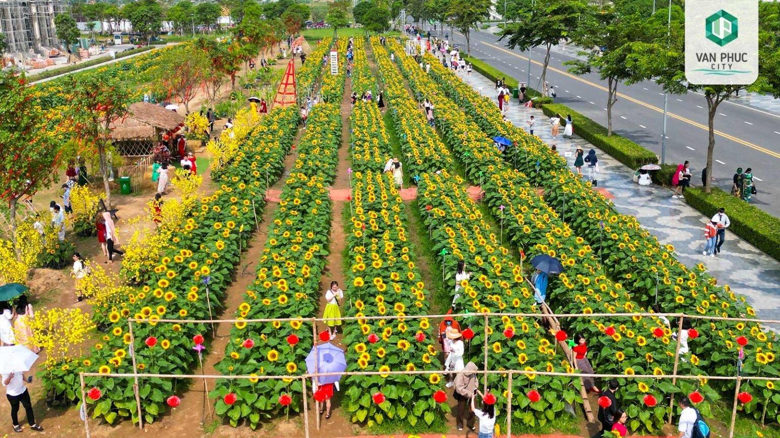 Vườn hoa Hướng Dương Vạn Phúc City - Khu đô thị Vạn Phúc City