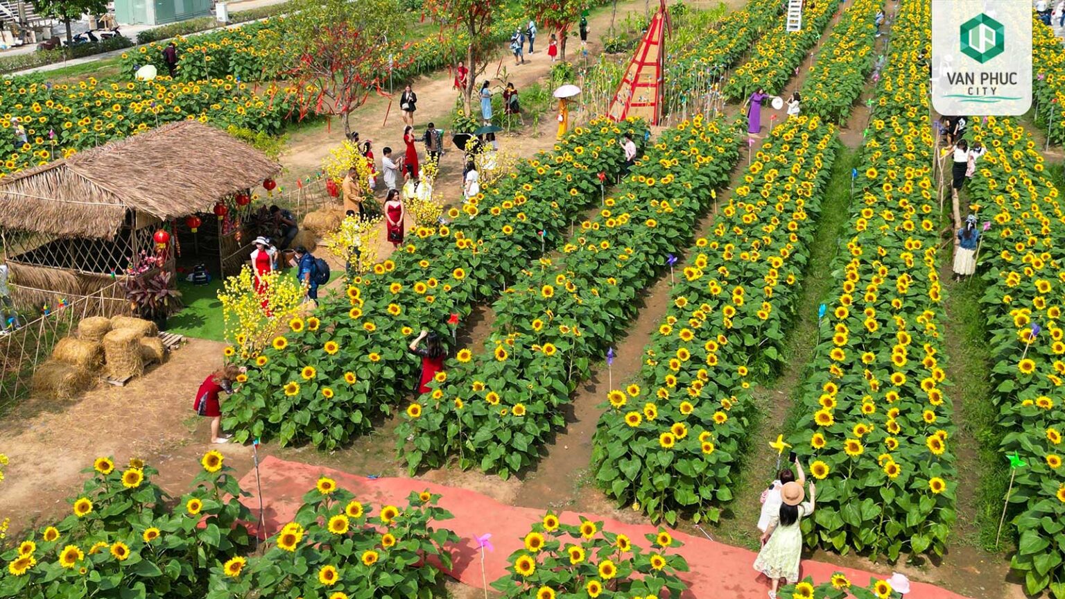 Vườn hoa Hướng Dương Vạn Phúc City - Khu đô thị Vạn Phúc City